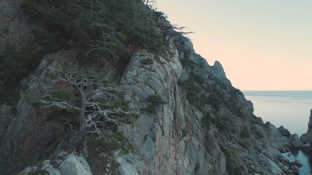 Trees growing on the side of a cliff - Free Stock Video