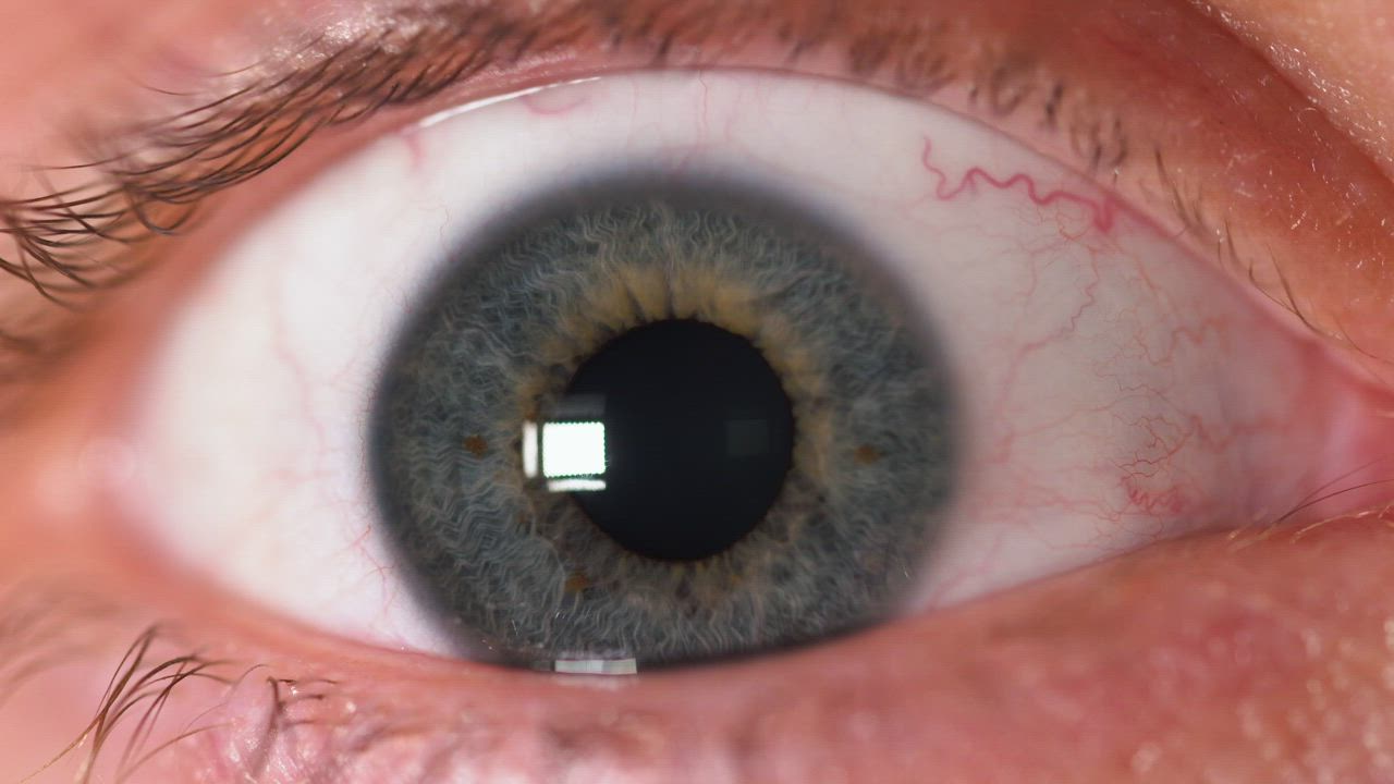 Human eye focusing in - Free Stock Video