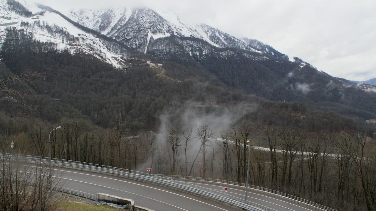 Steam rising from a forest road - Free Stock Video