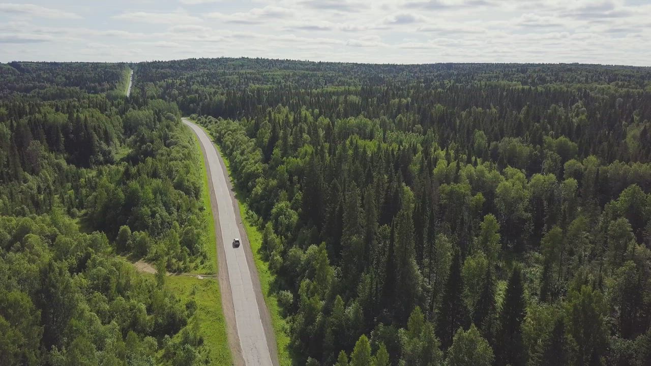 Highway through a large forest - Free Stock Video