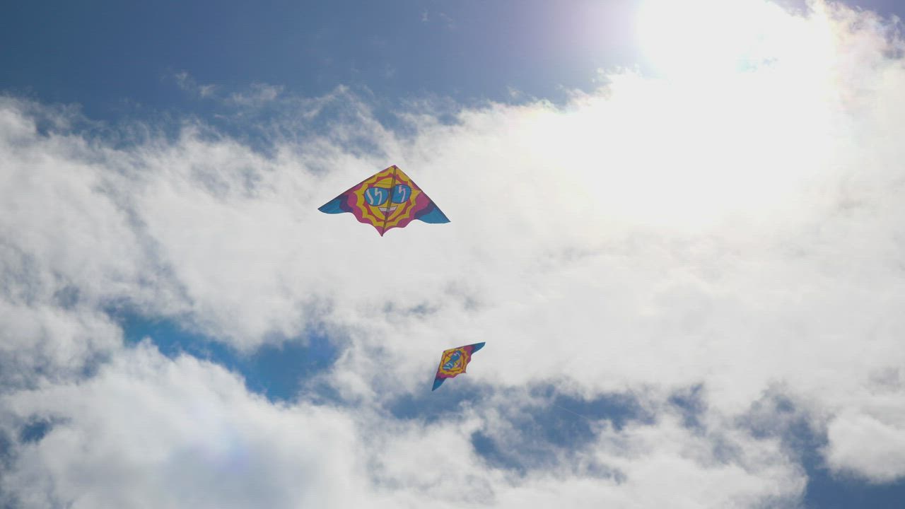 Flying kites in a city park - Free Stock Video