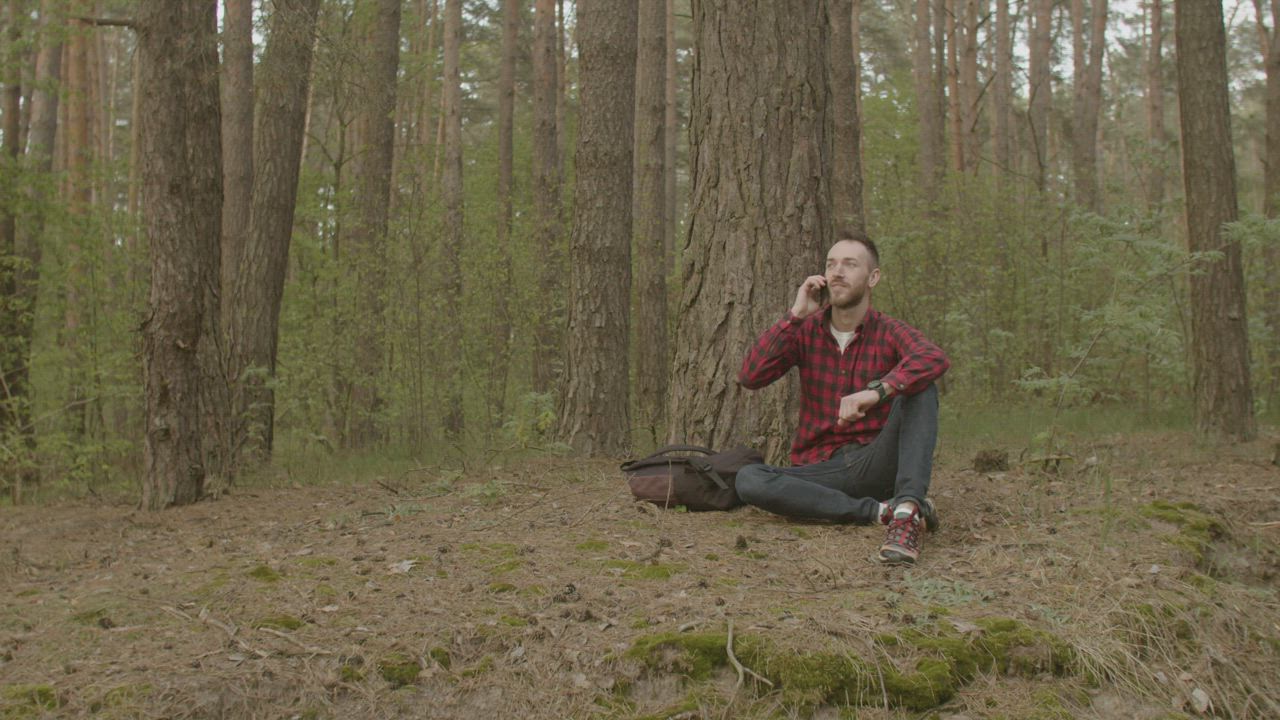 Man talking on the phone in a forest - Free Stock Video