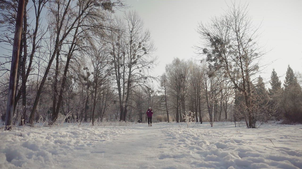 Woman walking through snow in winter - Free Stock Video