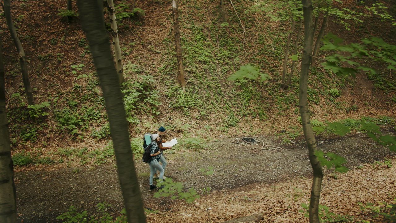 People exploring the woods for camping - Free Stock Video