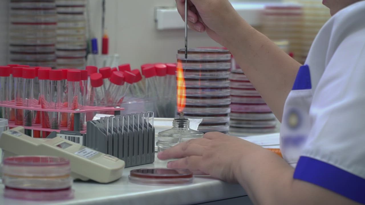 Person heating samples in a laboratory - Free Stock Video