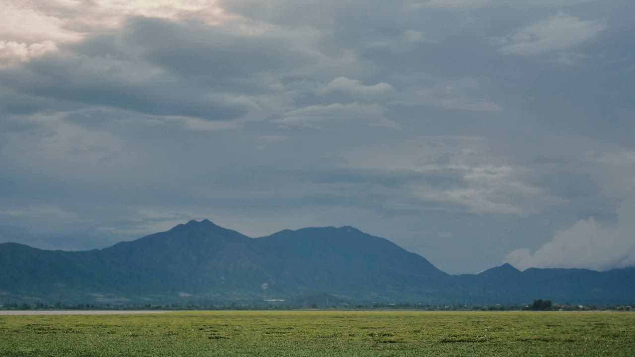 Panorama of a large natural plain on a sunny afternoon - Free Stock Video