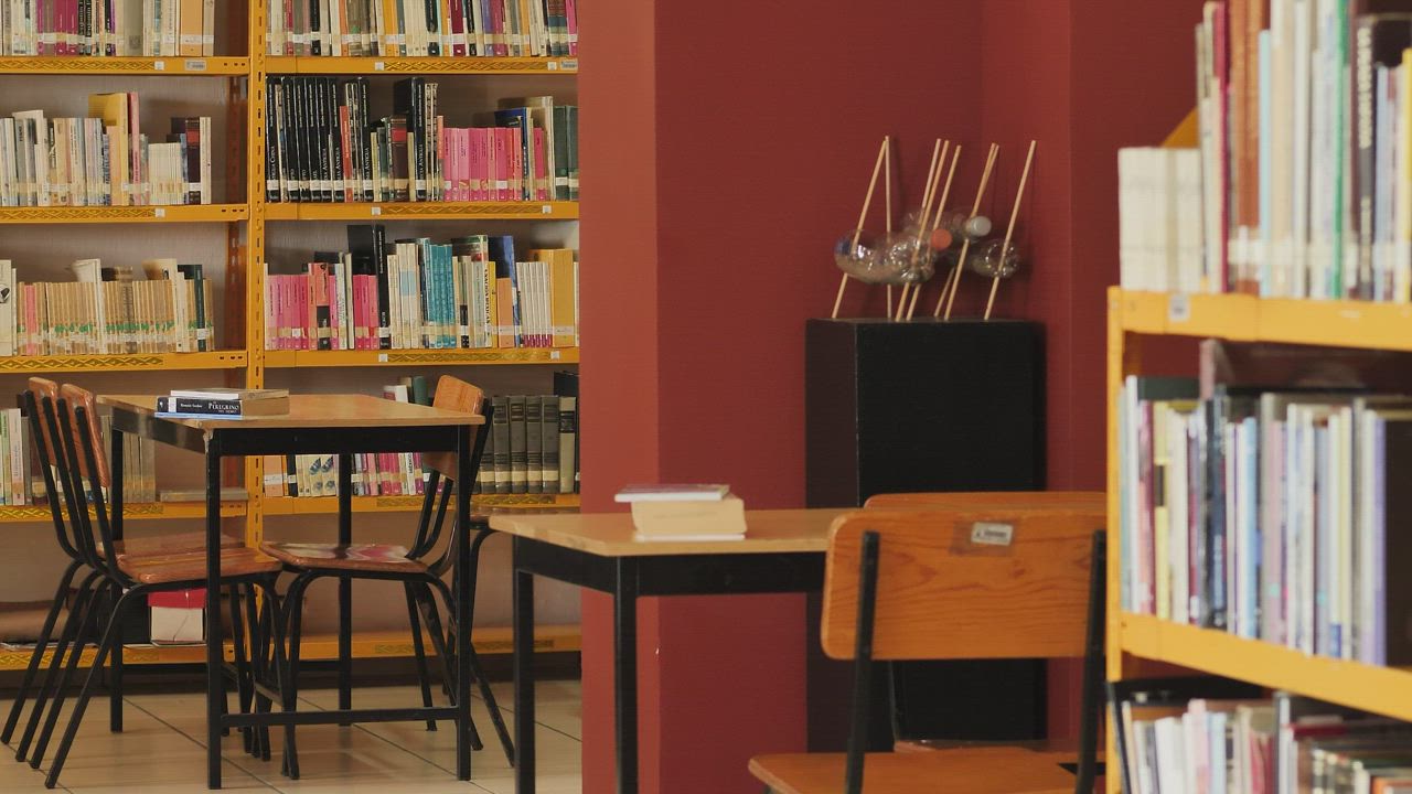 Lonely library seen carefully and in detail - Free Stock Video