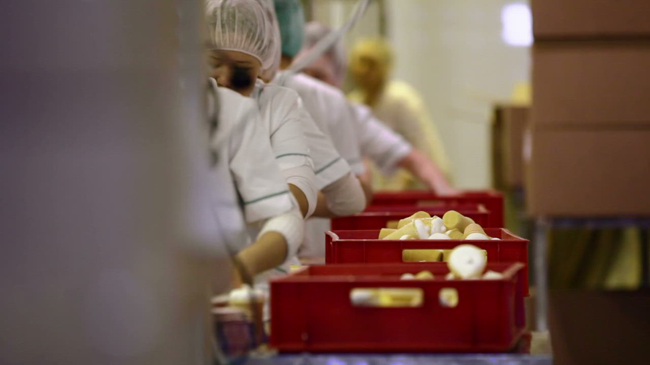 Workers in a food factory - Free Stock Video
