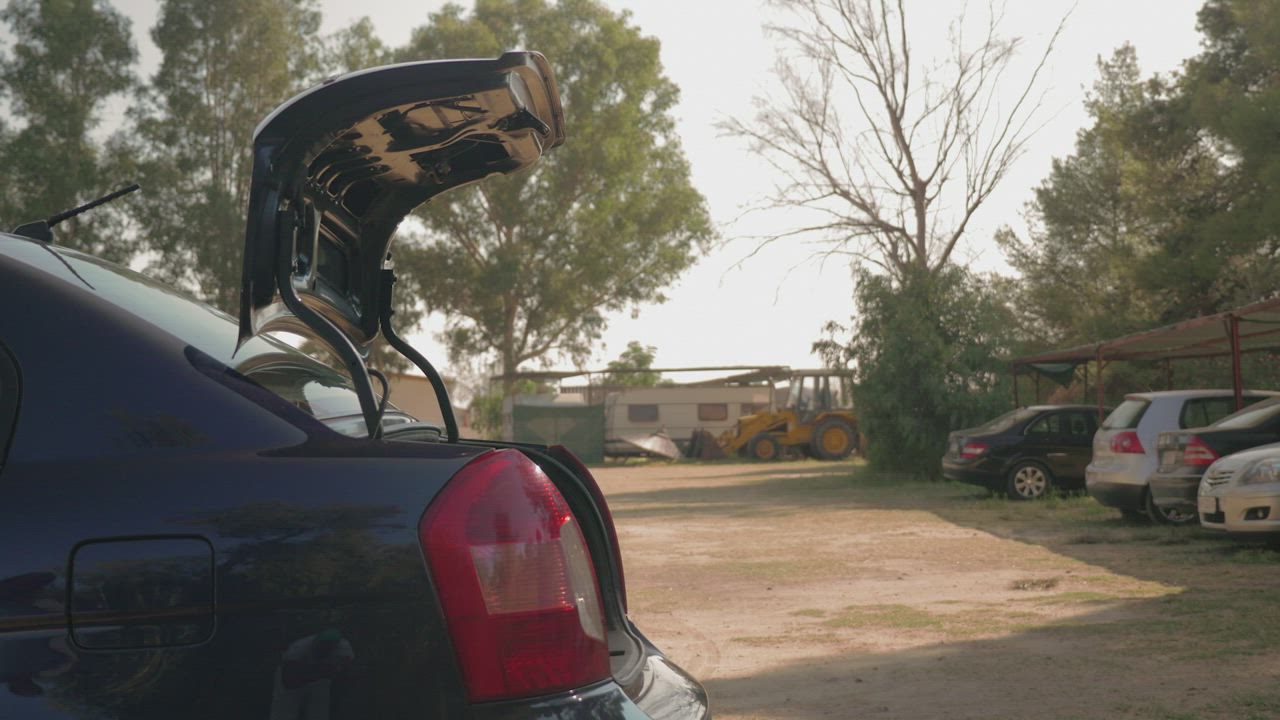 Loading up the car for a vacation - Free Stock Video