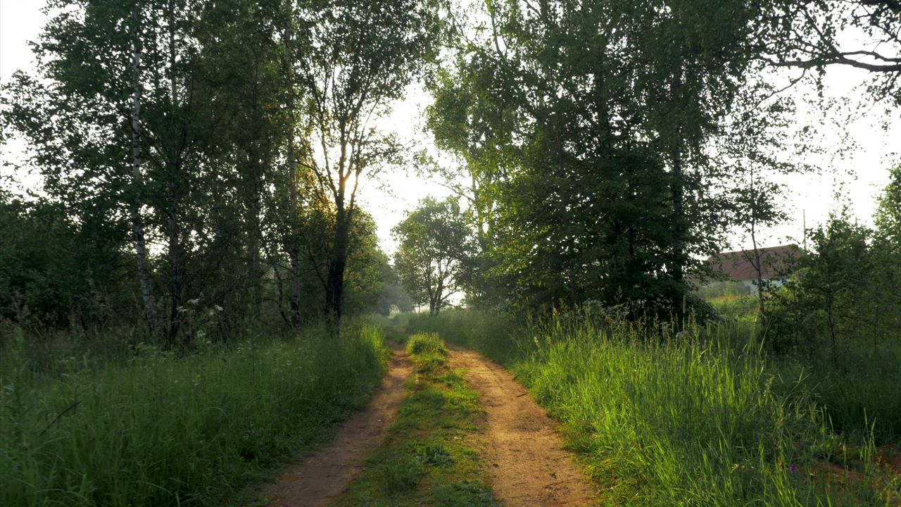 Small rural road between fields - Free Stock Video