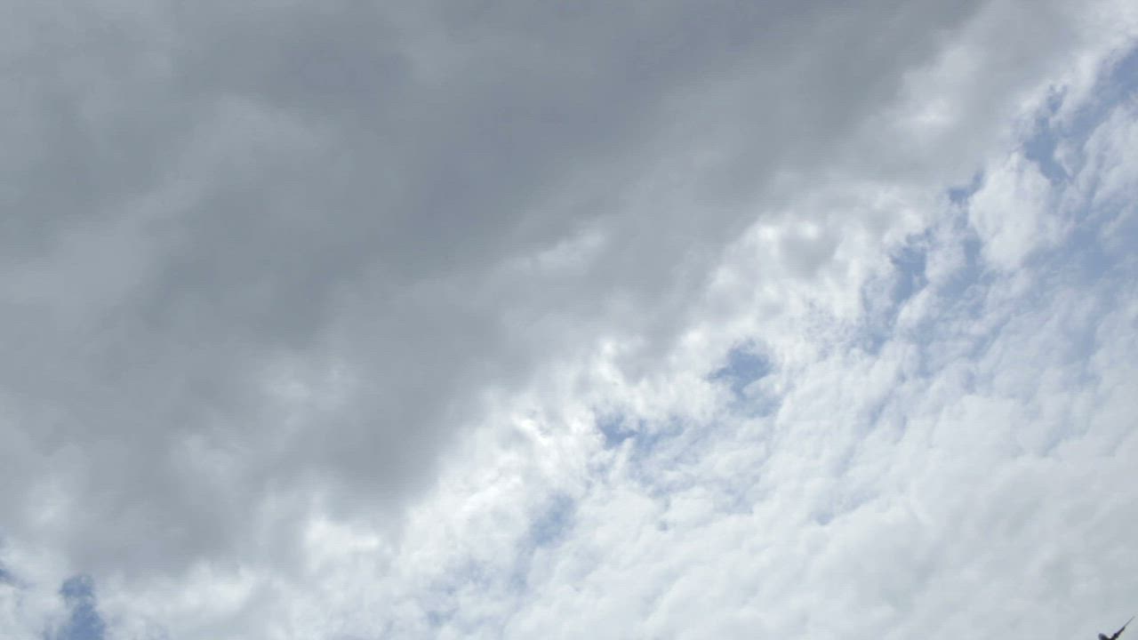 Airplane flying low - Free Stock Video