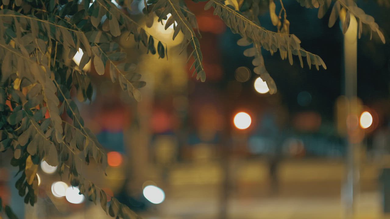 Street lights late at night - Free Stock Video