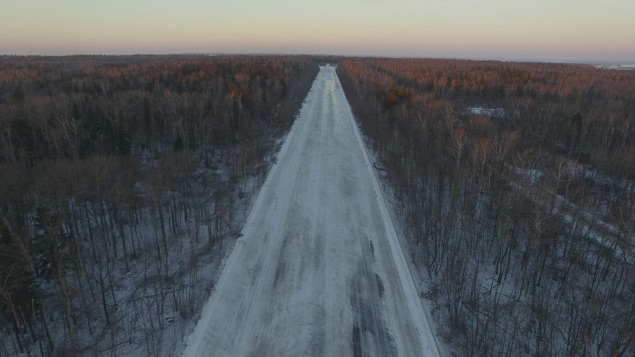 Frozen roads through an empty woodland - Free Stock Video