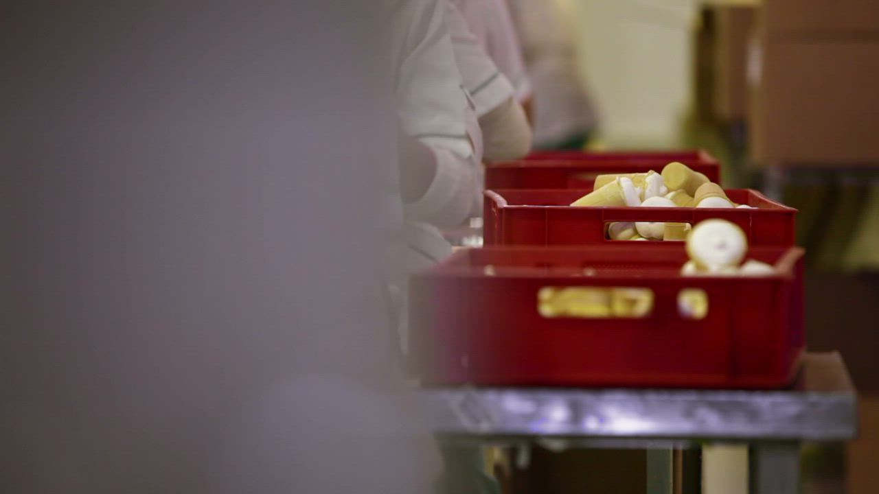 Working in a food factory - Free Stock Video