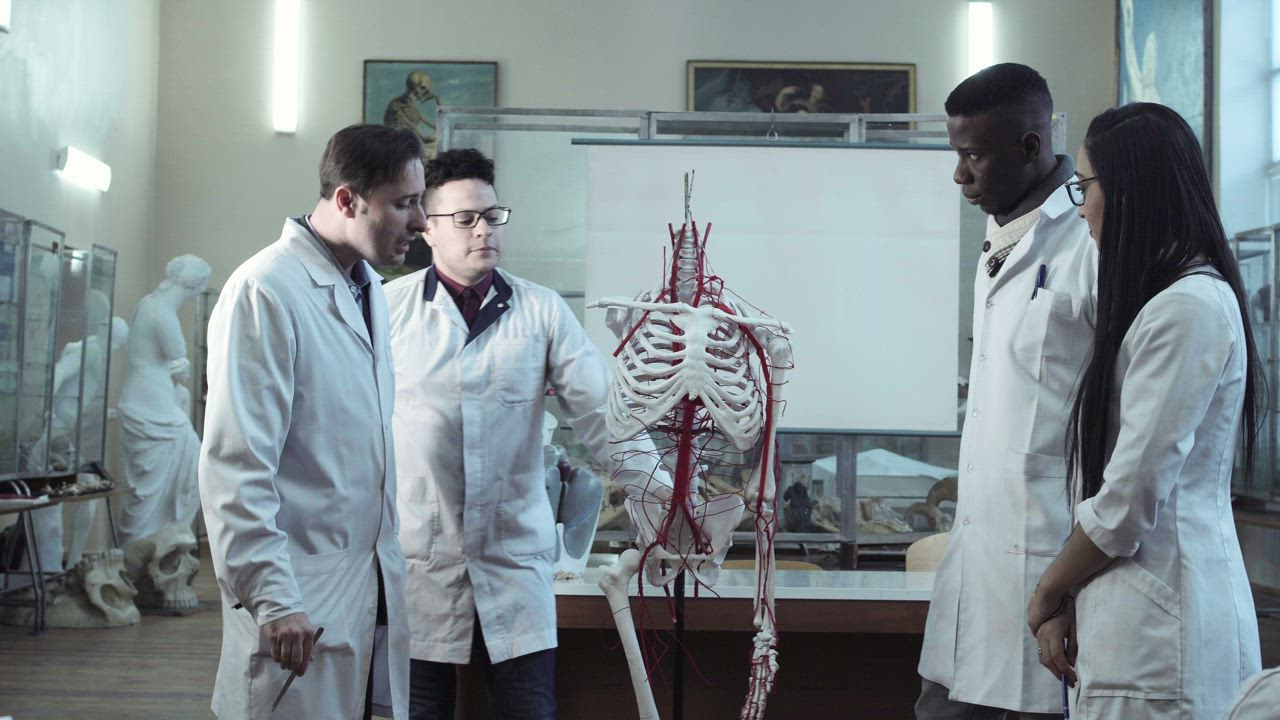 Doctor students in the classroom - Free Stock Video