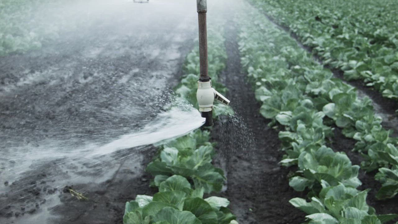 Watering an agricultural field - Free Stock Video