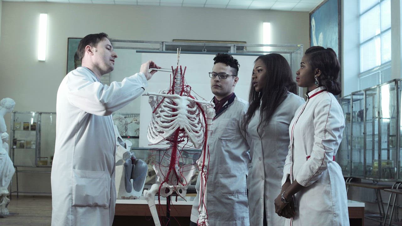 Medical students at anatomy lecture - Free Stock Video