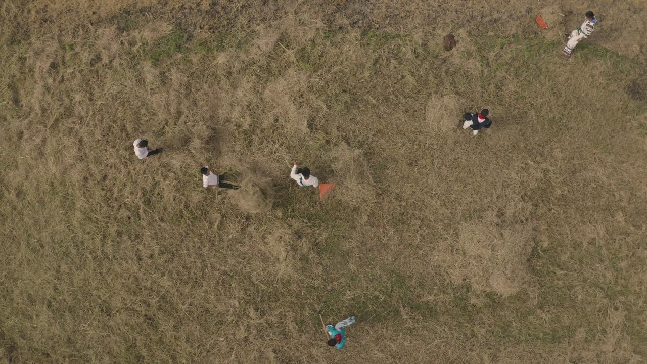 People working in a field - Free Stock Video