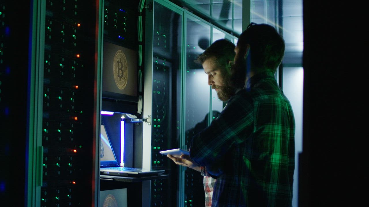 Engineer setting bitcoin mining farm - Free Stock Video