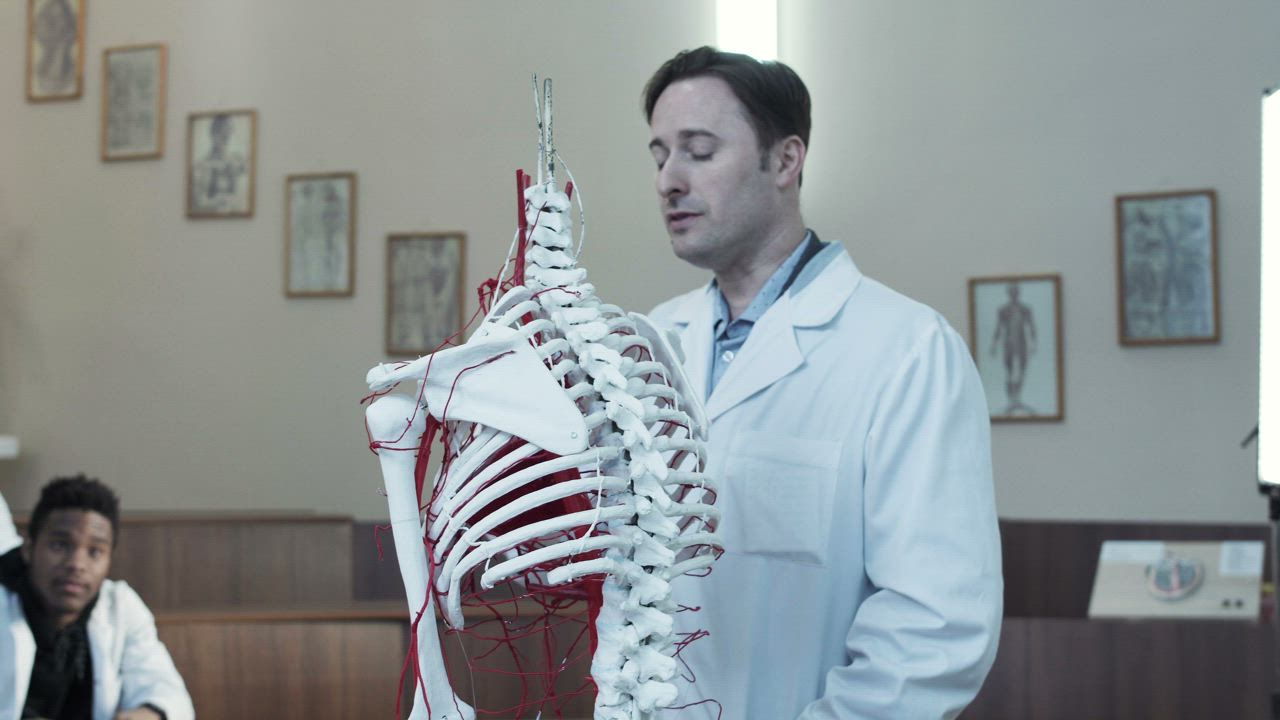 Lecture on human anatomy in the classroom - Free Stock Video