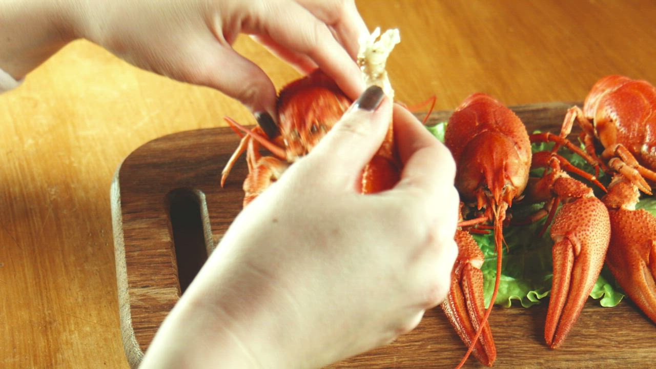 Using tools to eat lobster - Free Stock Video