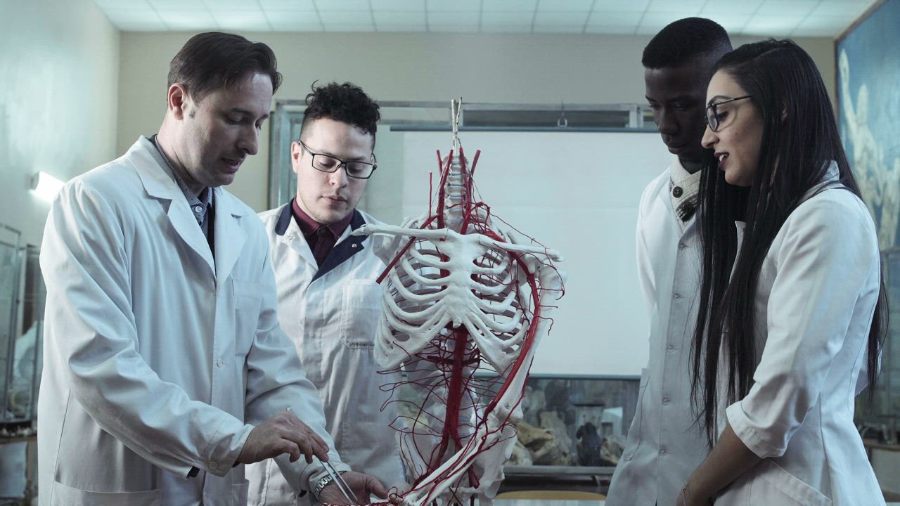 Medical students at anatomy lecture in an university - Free Stock Video