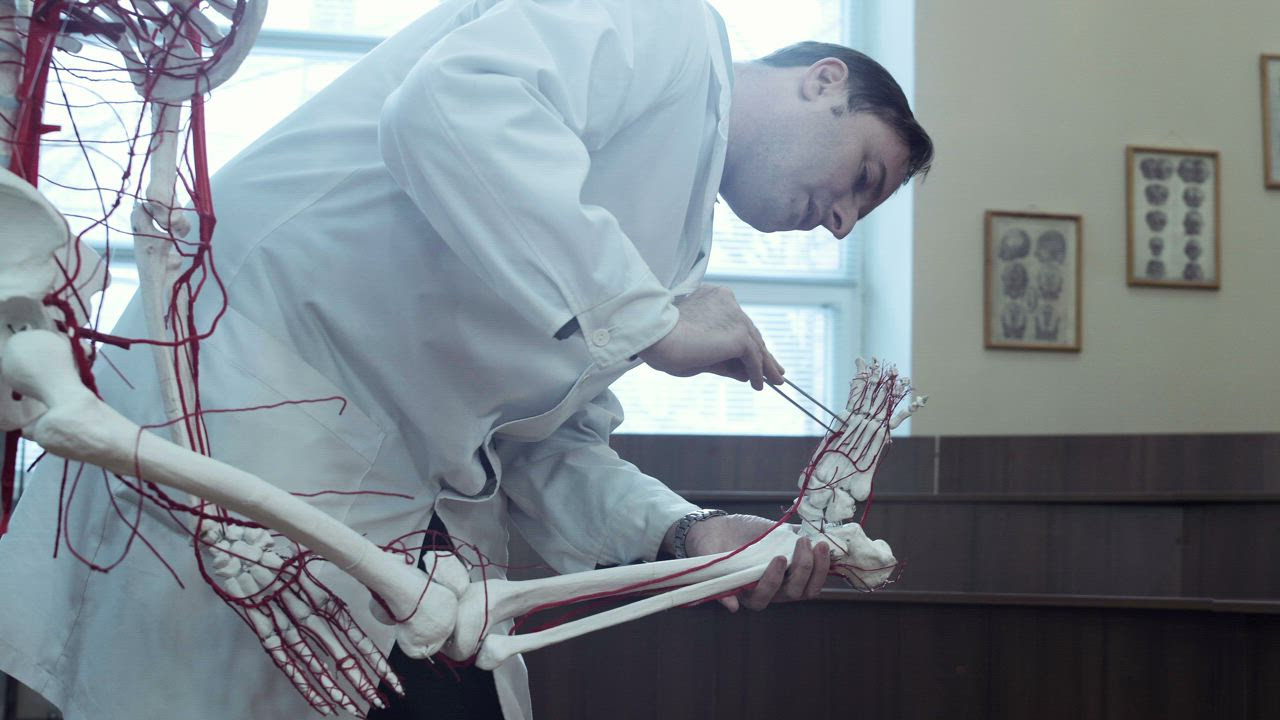 Professor teaching human anatomy at the University - Free Stock Video