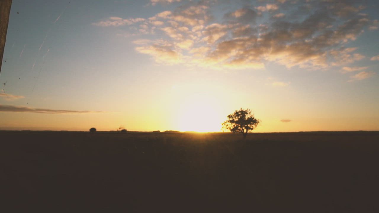 Sunset in the ranch - Free Stock Video