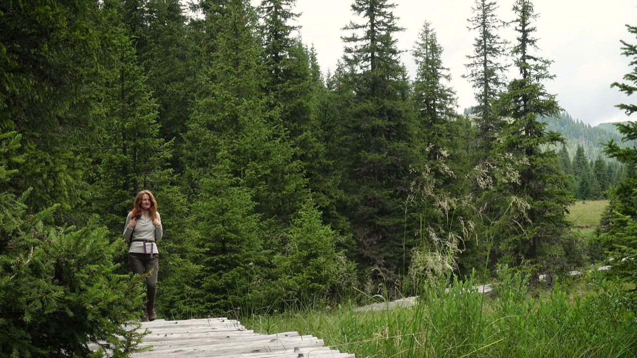 Young hiker woman walking through the forest - Free Stock Video
