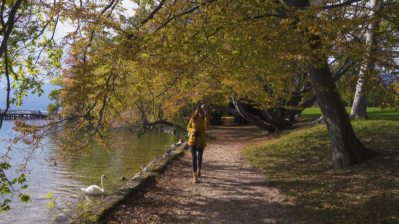 Tourist woman walking along the lake shore - Free Stock Video