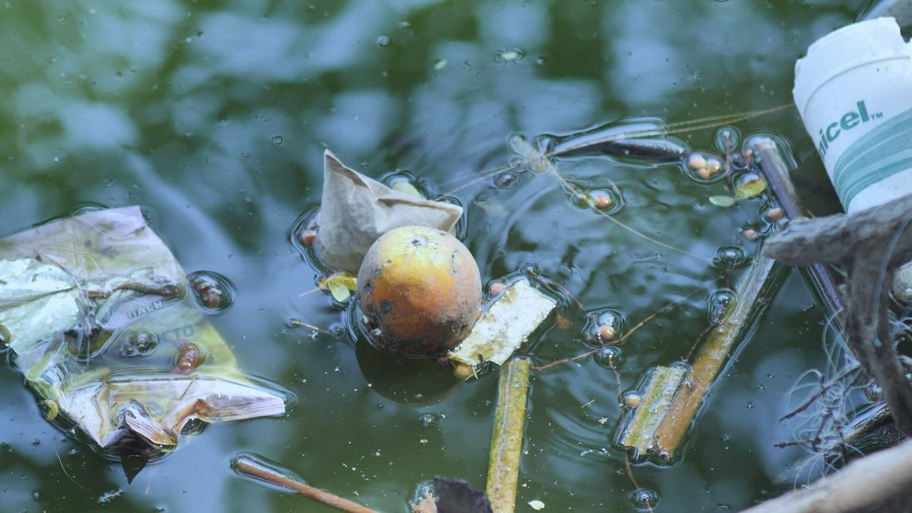 Garbage floating in dirty water - Free Stock Video
