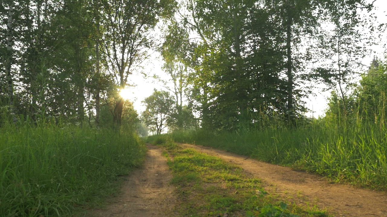 Tracks down a country lane - Free Stock Video