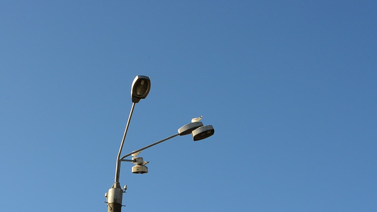 Street lights with CCTV - Free Stock Video