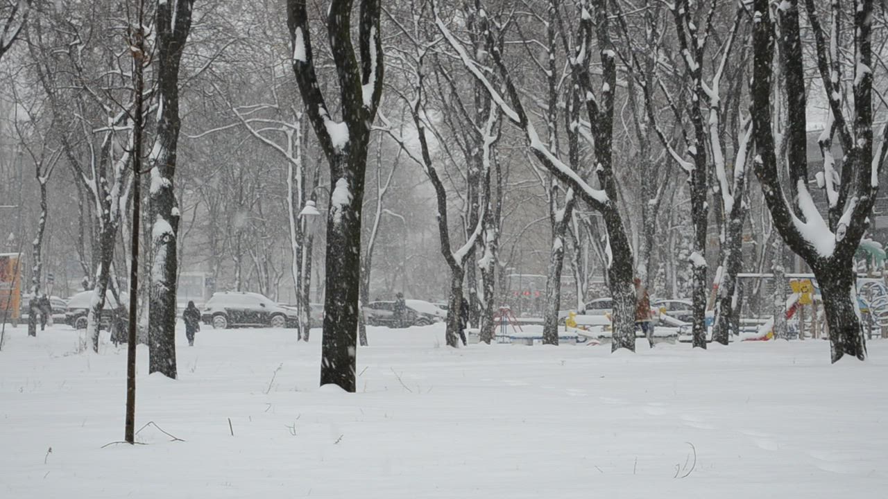 People walking through heavy snow - Free Stock Video