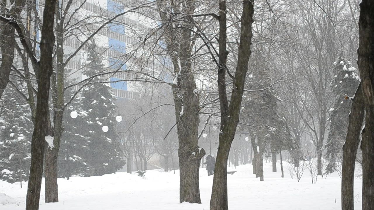 Deep snow falling in a city park - Free Stock Video