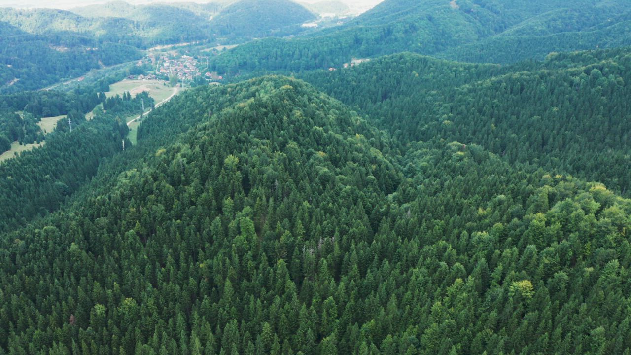 Mountains covered in thick forests - Free Stock Video