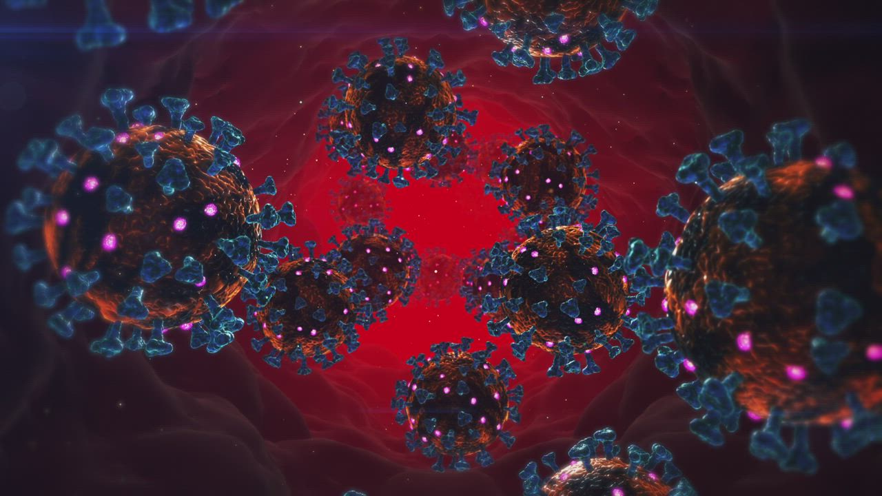 Coronavirus inside the human body - Free Stock Video