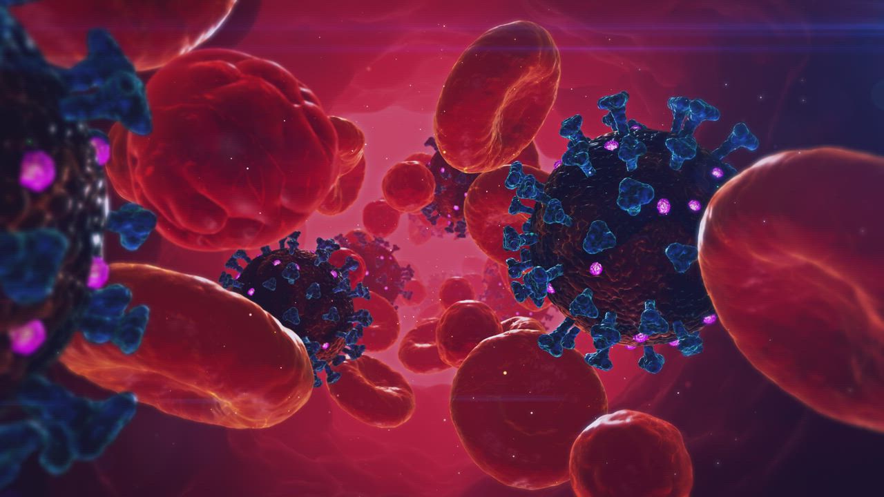 Coronavirus in the blood stream - Free Stock Video