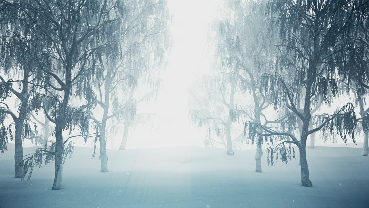 Winter forest while snowing, 3D animation - Free Stock Video