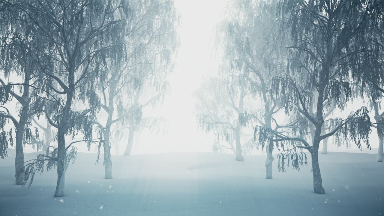 Winter forest while snowing, 3D loop animation - Free Stock Video
