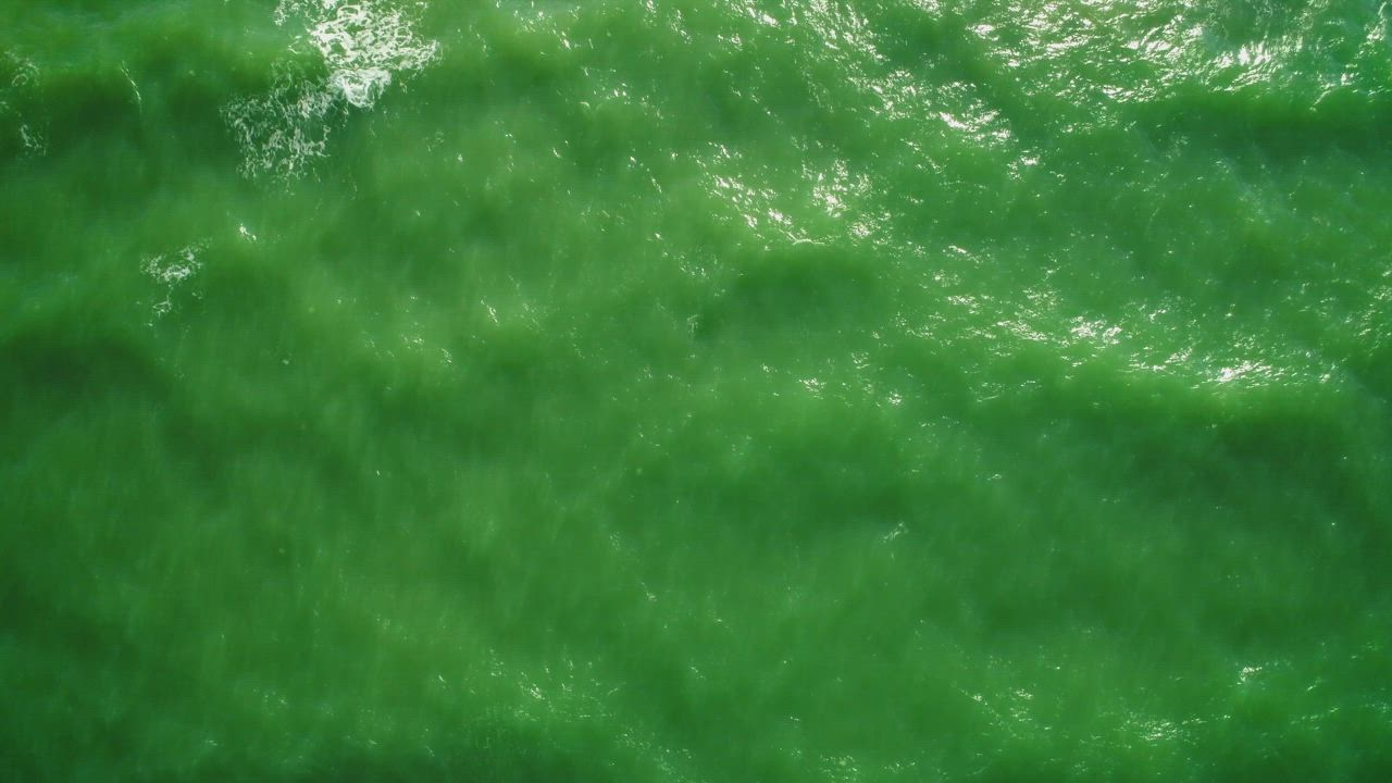 Sea waves in green tones reaching the beach - Free Stock Video