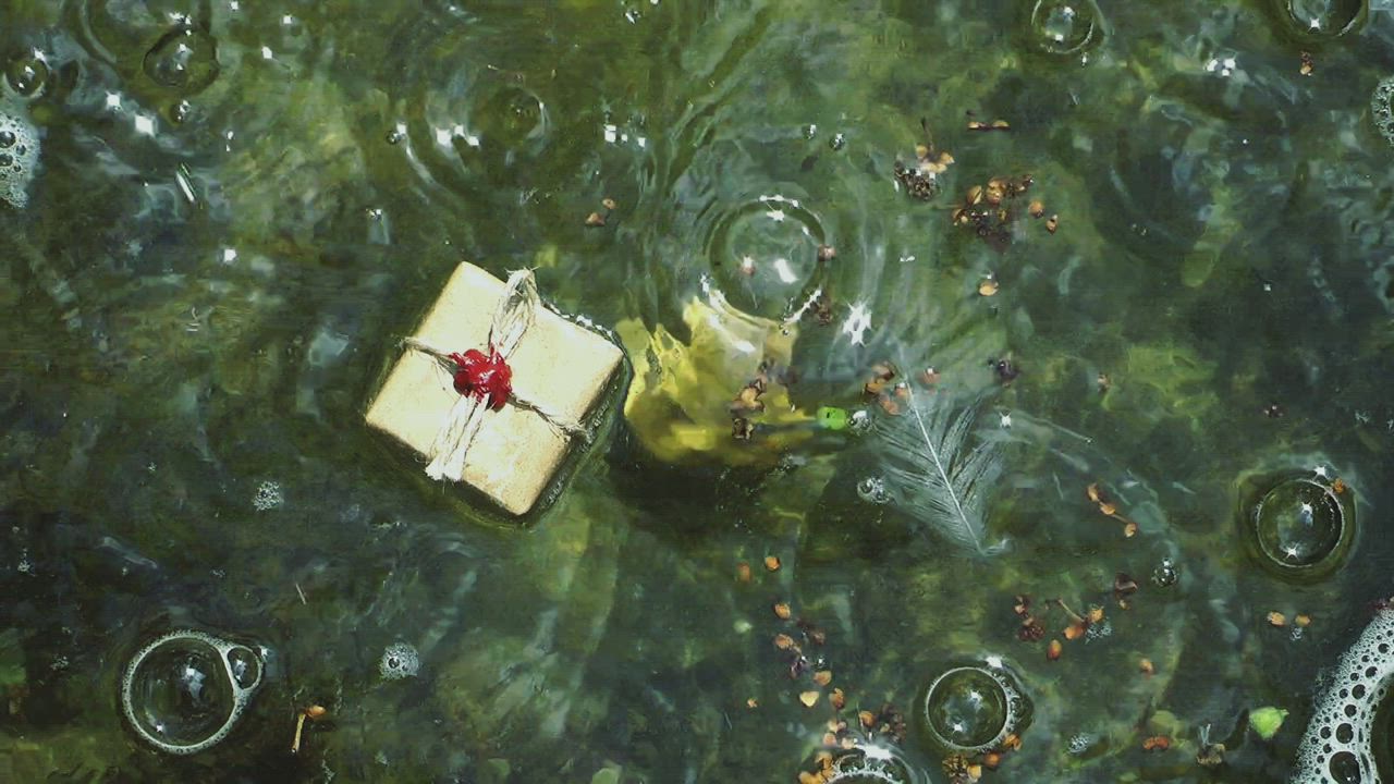 Gift wrapped floating in the water of a lake - Free Stock Video