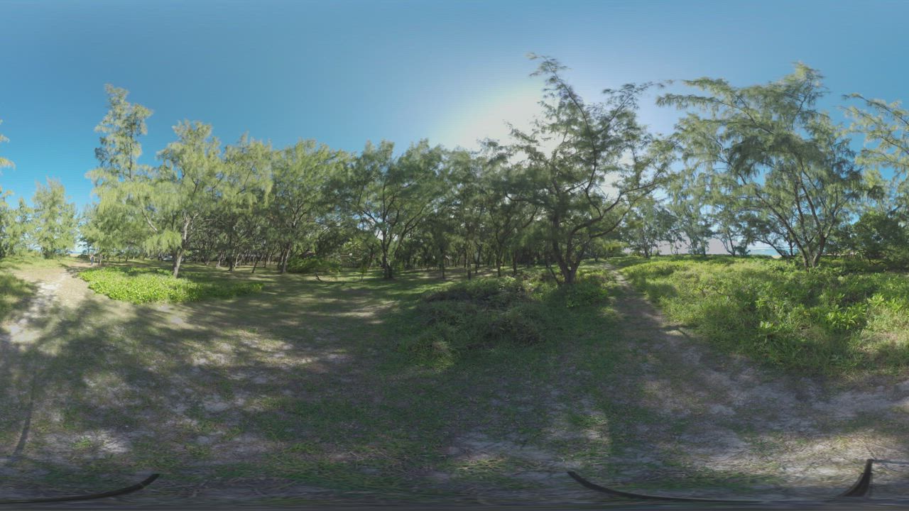 Family exploring the countryside in VR - Free Stock Video