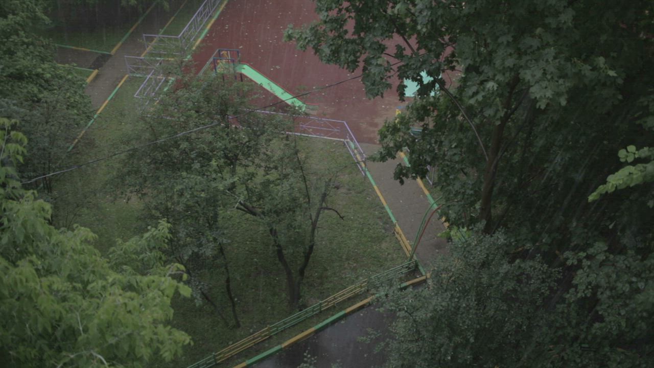 Rain falling in a city park - Free Stock Video