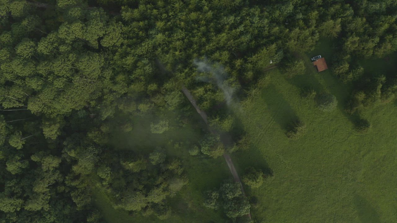 Meadow in the middle of a forest seen from above - Free Stock Video