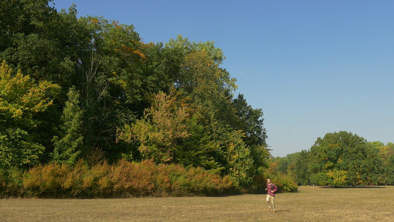 Man with a backpack running on the countryside - Free Stock Video