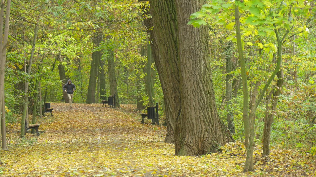 Man walking and running through a park path - Free Stock Video
