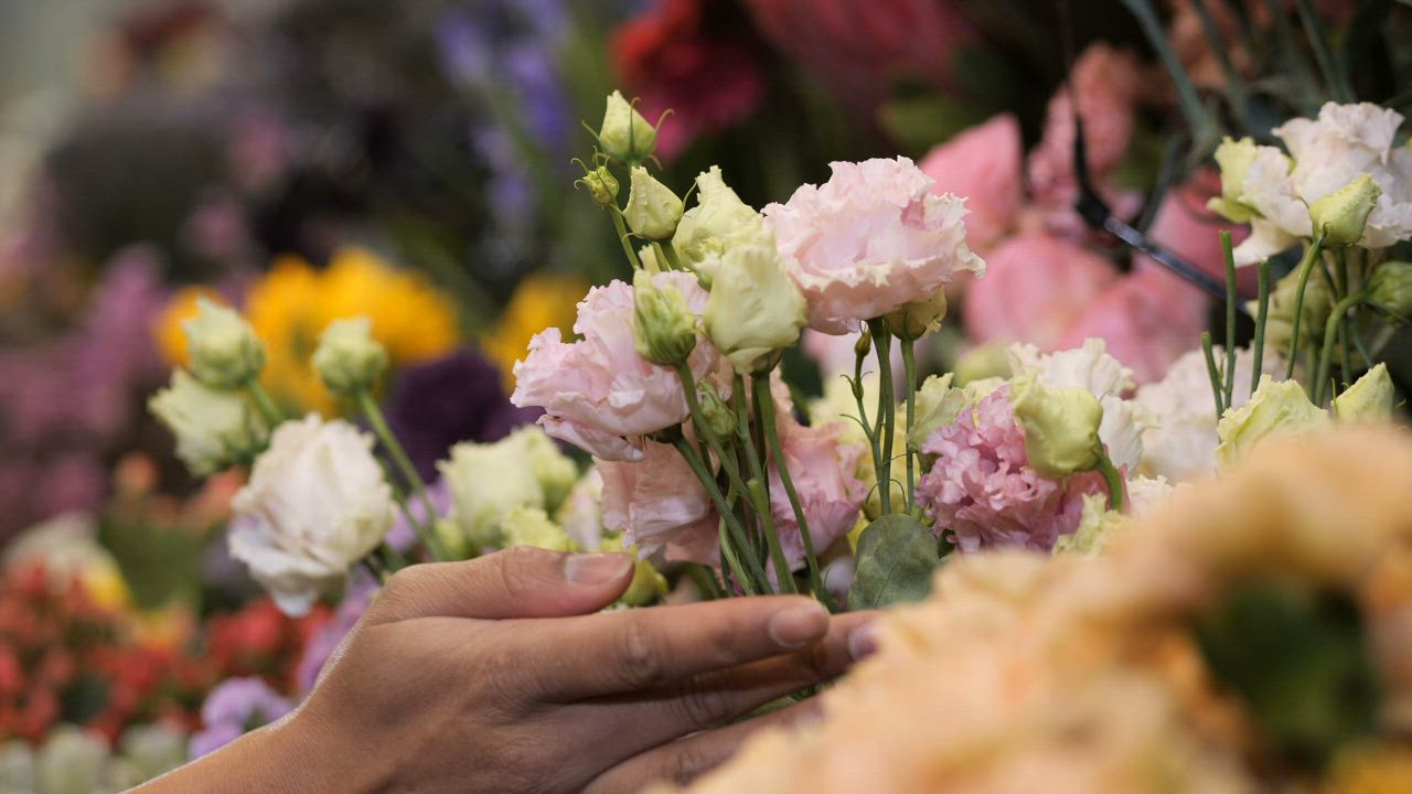 Florist checking flowers in her store - Free Stock Video