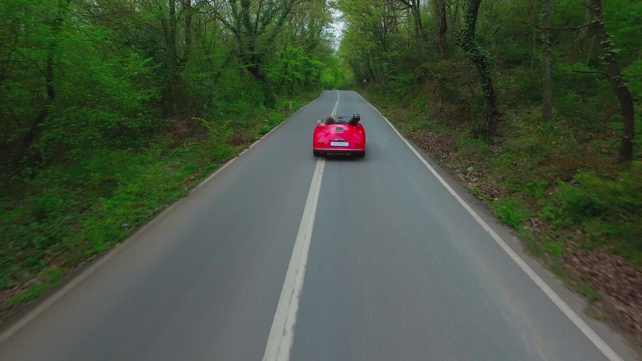 Vintage car driving between trees - Free Stock Video