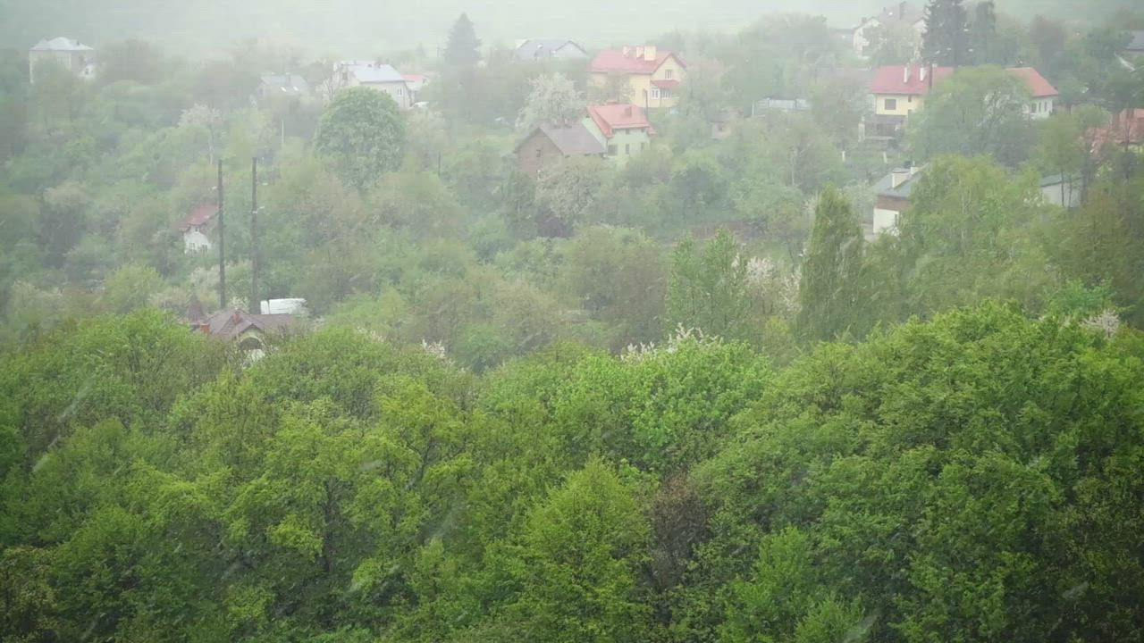 Snow falling in Spring - Free Stock Video